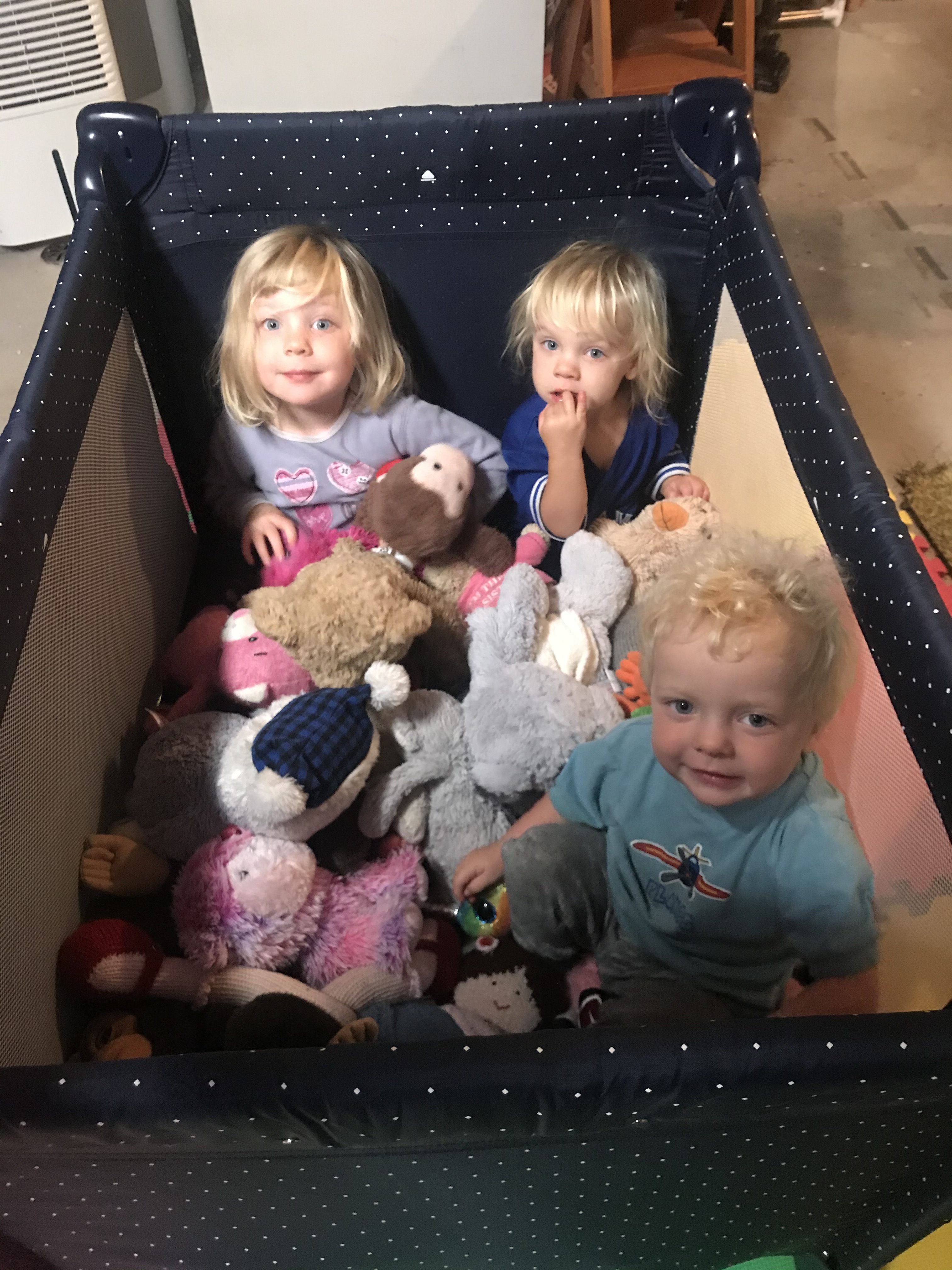 Teddy Bear Bath – jacquify.com