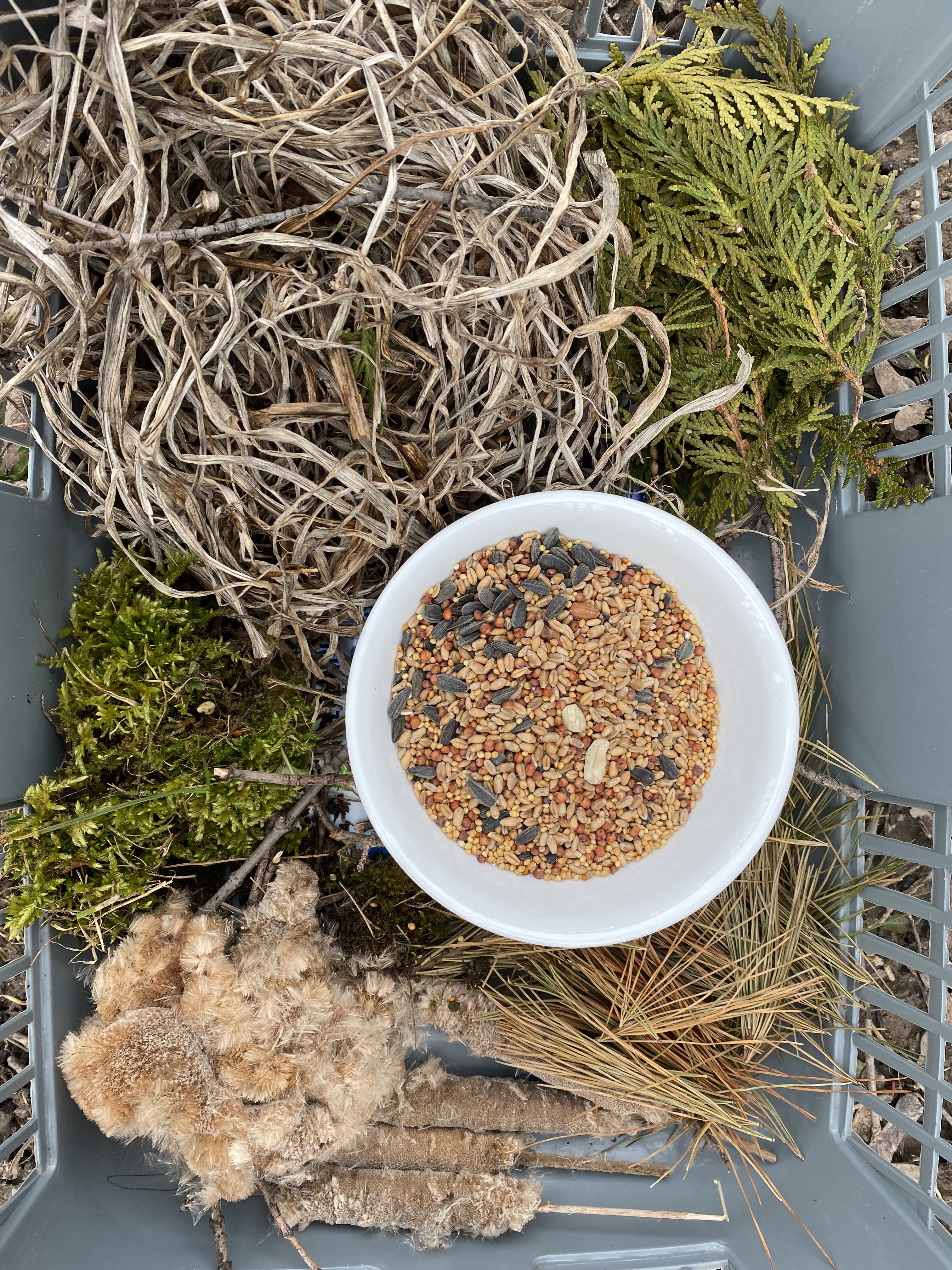 Collecting Nesting Materials – jacquify.com